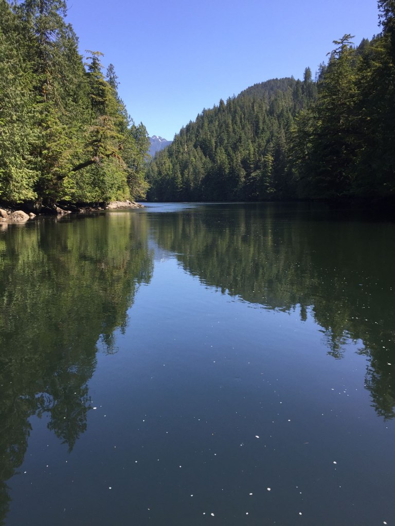 In the pristine waterways of western Canada, sounds, waterfalls and ...